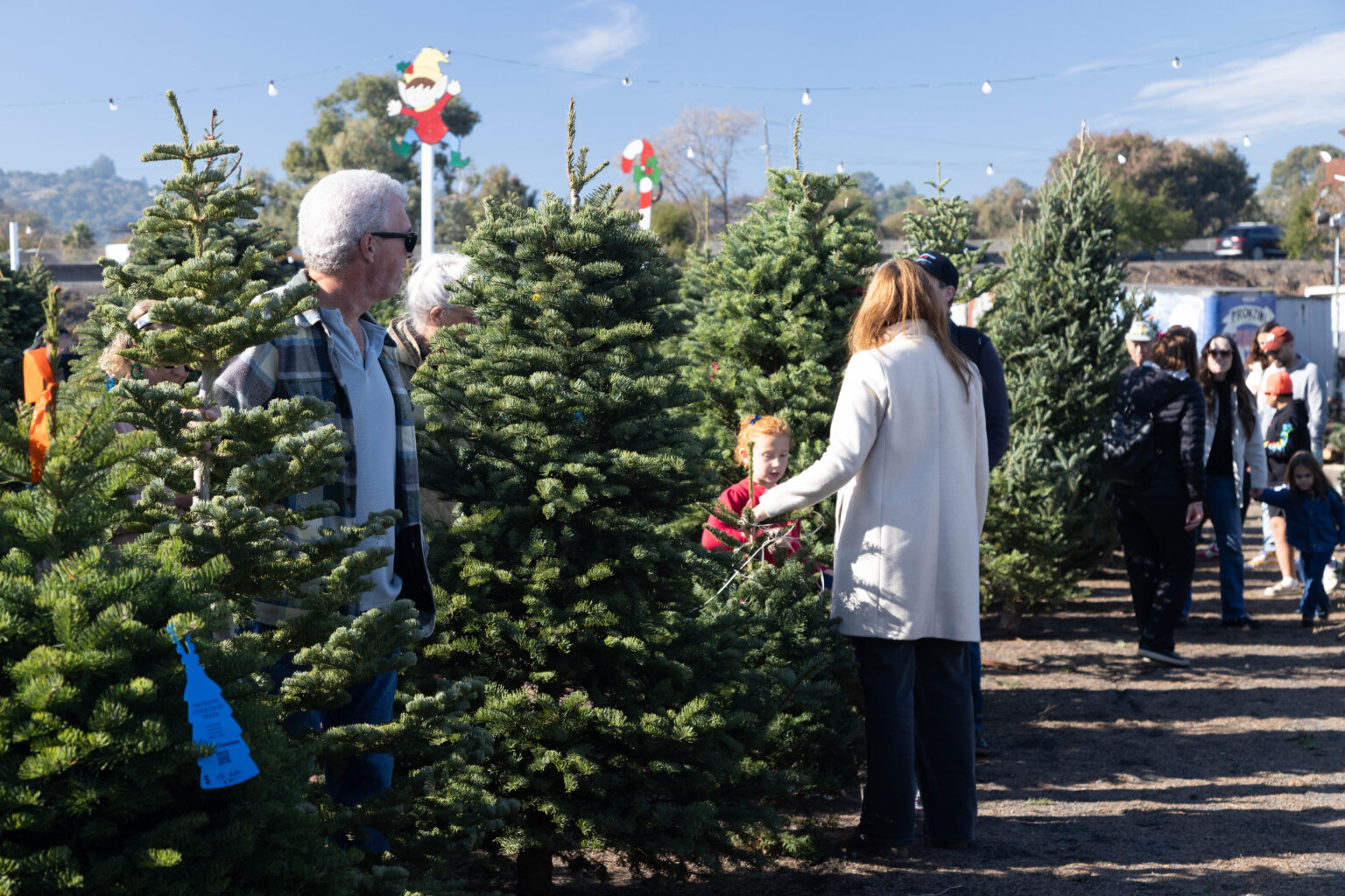 Lots & Locations - Pronzini Farms