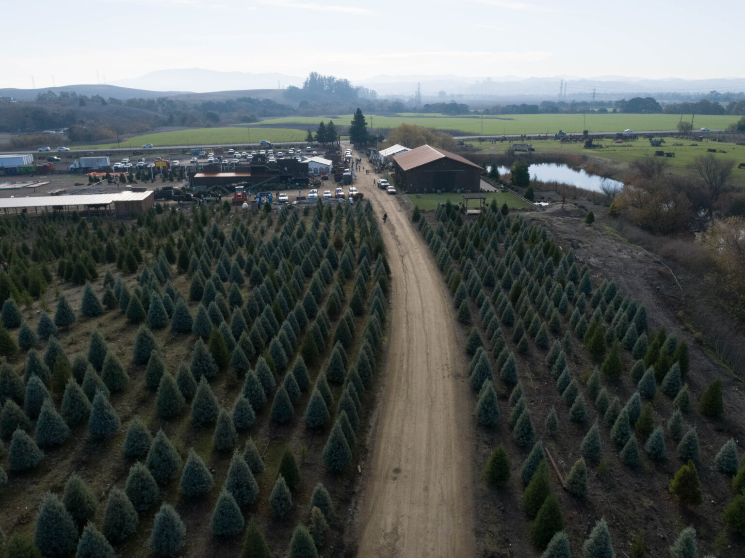 Lots & Locations - Pronzini Farms